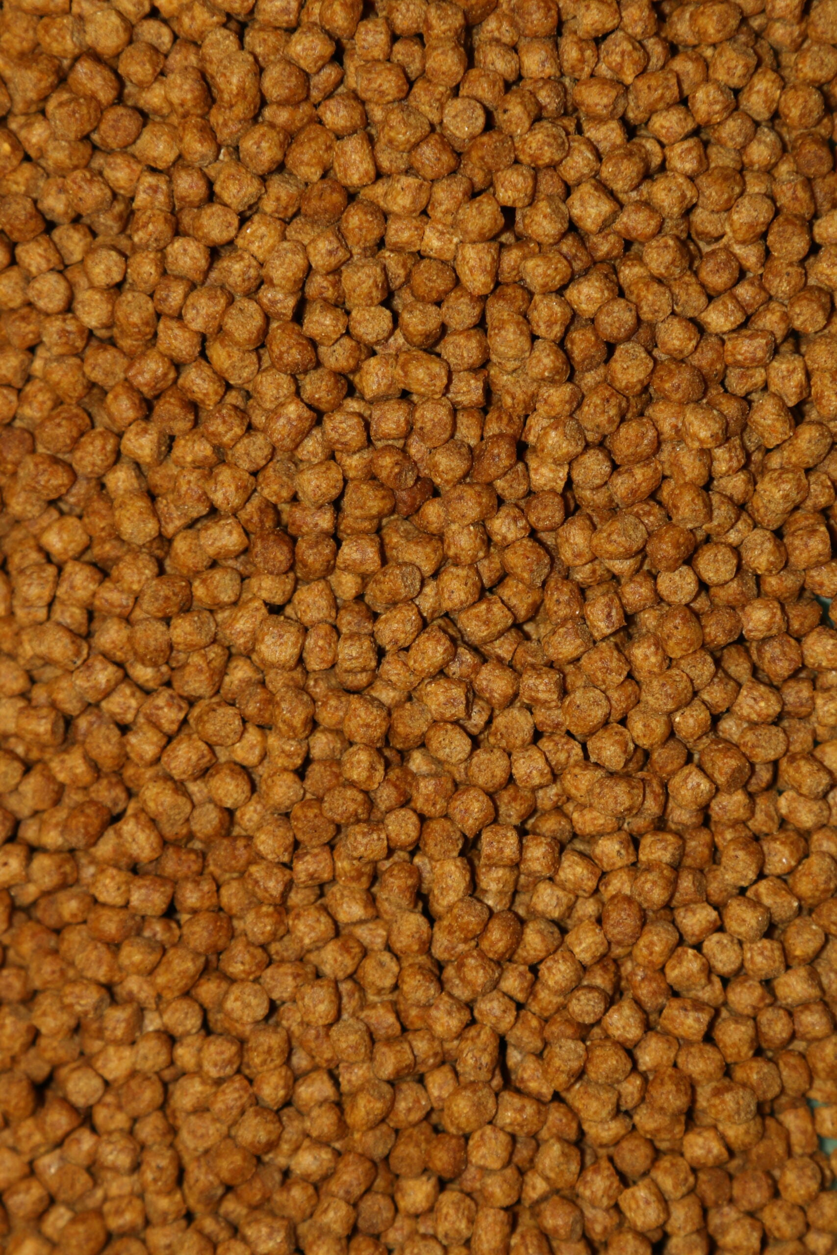 Blakes Match Expander Pellets - Ian's Fishing Tackle – Ian's Fishing ...